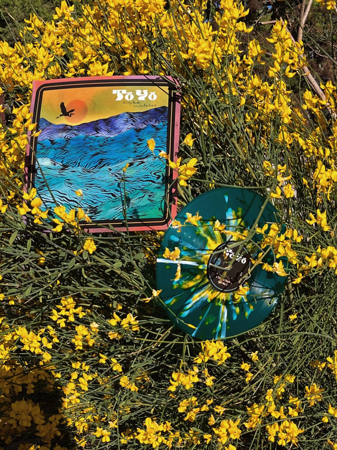 King Volume Records – Official US Store